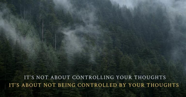 Forest Meditation and the Wavering Mind | Healing Forest