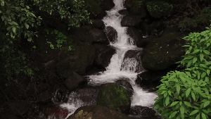 Waterfall Healing – 7 ways to find calm | Healing Forest
