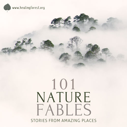 Forest Stories – 7 Tales from far-away lands | Healing Forest