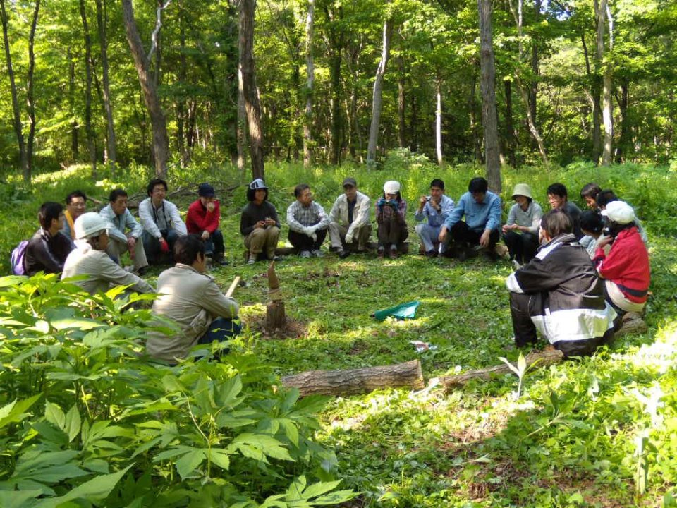 Forest Therapy in Japan and its Possibility for the World | Healing Forest