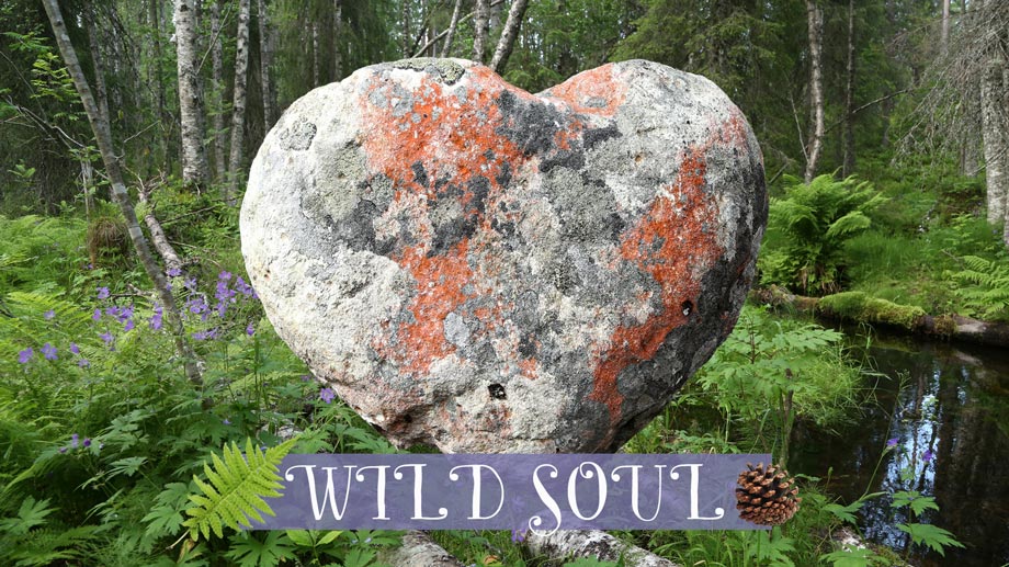 Nature Poem – Wild Soul | Healing Forest