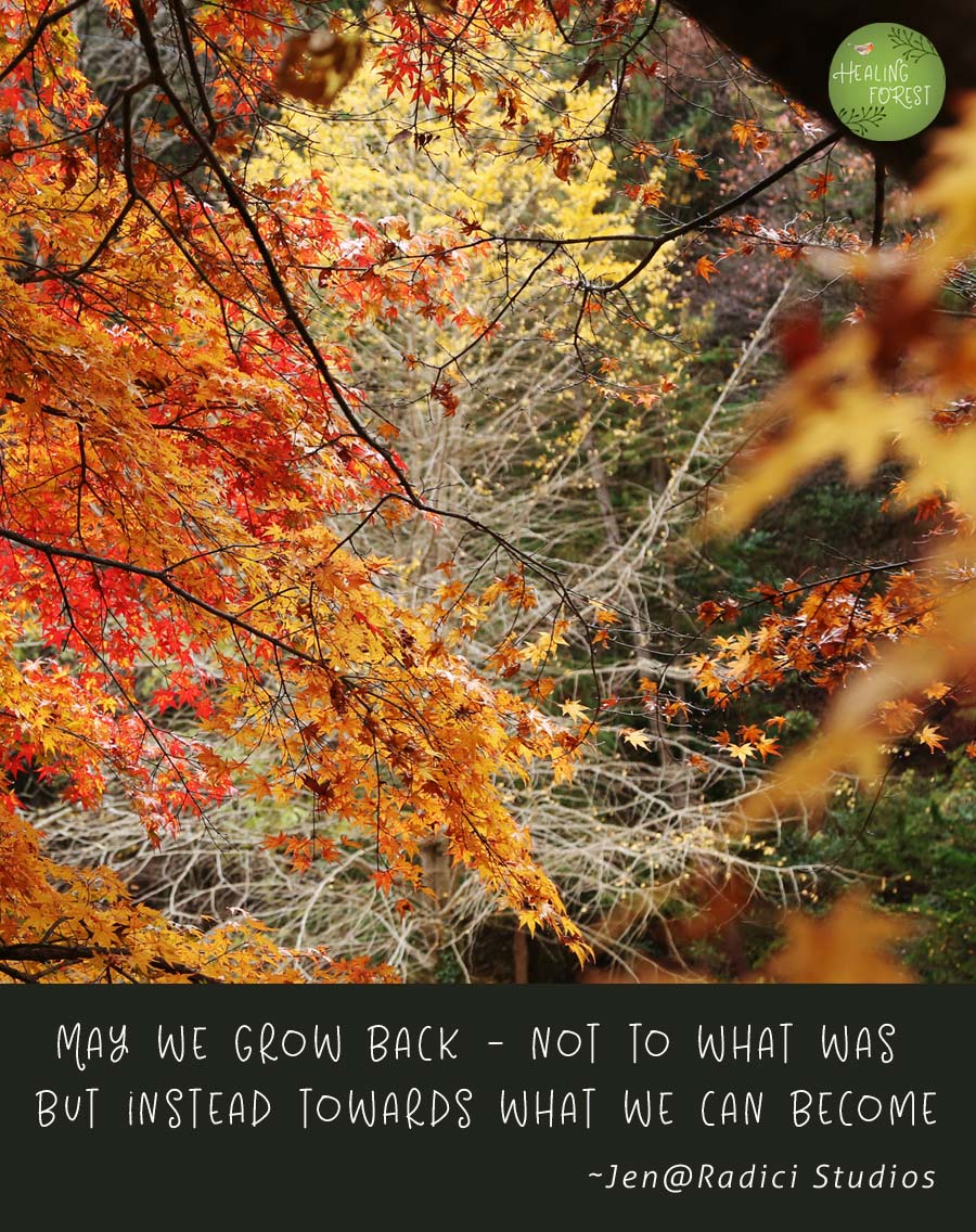 Regulating Emotions – Tips from Nature | Healing Forest