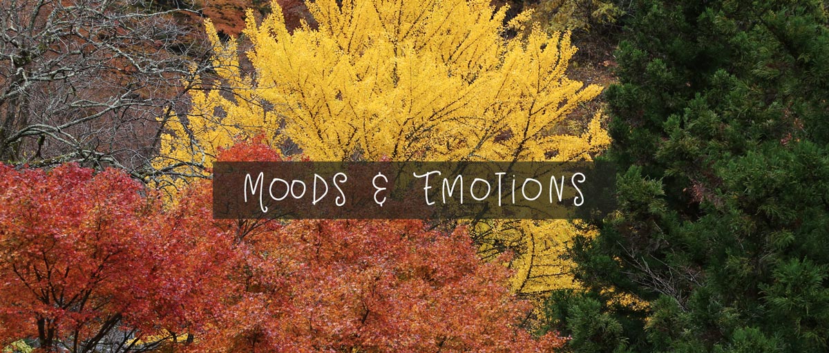 Regulating Emotions – Tips from Nature | Healing Forest