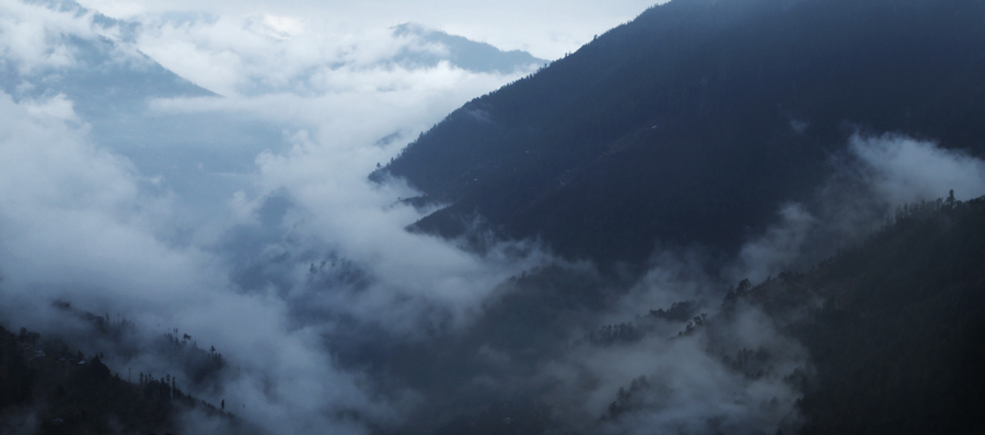 Nature Insight – Wisdom to grow in life | Healing Forest