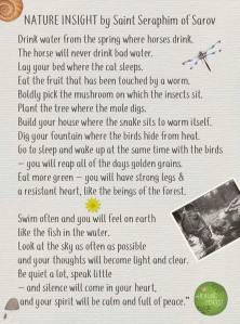 Nature Insight – Wisdom to grow in life | Healing Forest