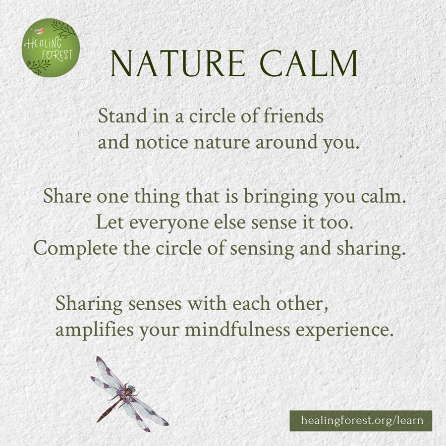 Forest Bathing – What, How, Where? A beginner’s guide | Healing Forest