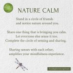 Forest Bathing – What, How, Where? A beginner’s guide | Healing Forest