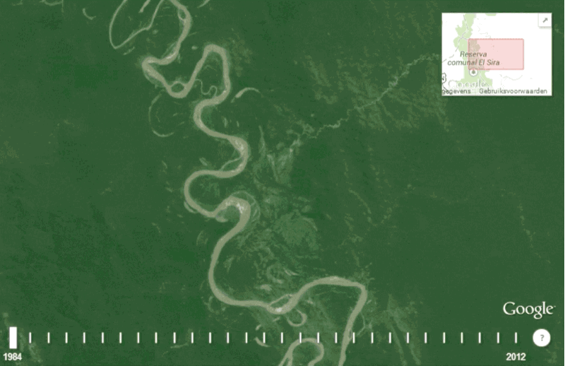 RESILIENCE Examples and Stories | What Rivers Know | Healing Forest