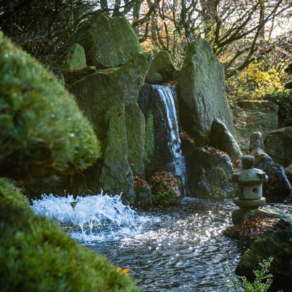 Meditation Garden: Ideas, Elements, Insights | Healing Forest