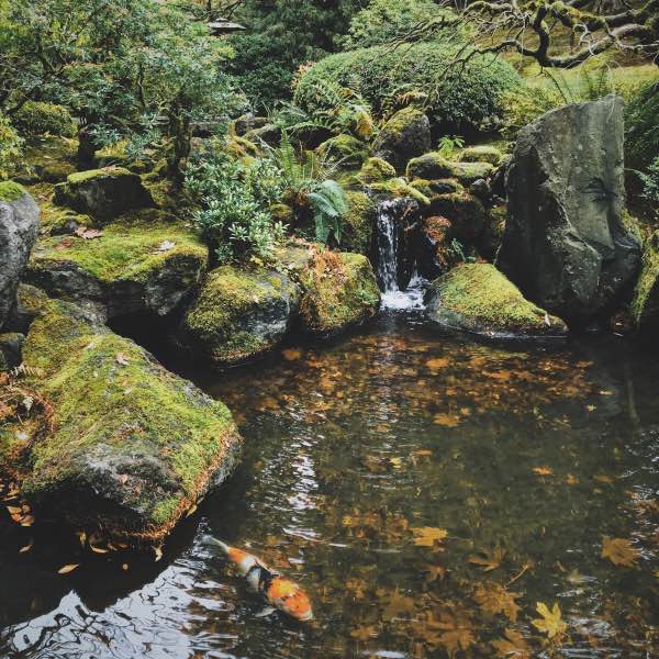 Meditation Garden: Ideas, Elements, Insights | Healing Forest