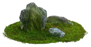 Meditation Garden: Ideas, Elements, Insights | Healing Forest