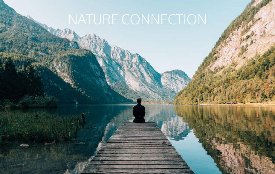 10 Nature Connection Activities | Healing Forest
