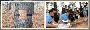 Forest Bathing – Secrets from South Korea | Healing Forest