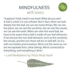 7 Outdoor Mindfulness Activities, Exercises For Groups | Healing Forest