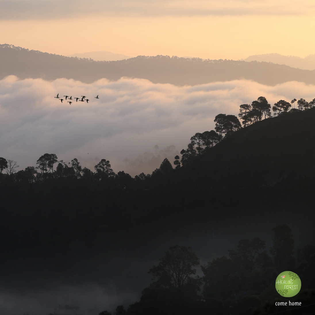 Mindfulness in Nature – 7 Outdoor Mindfulness Activities | Healing Forest