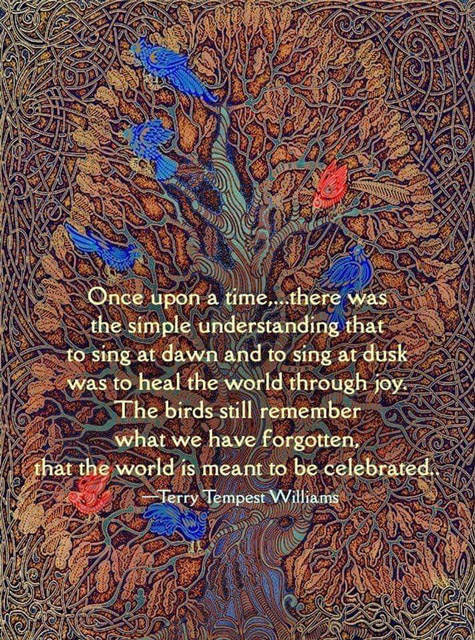 Mindfulness in Nature – 7 Outdoor Mindfulness Activities | Healing Forest