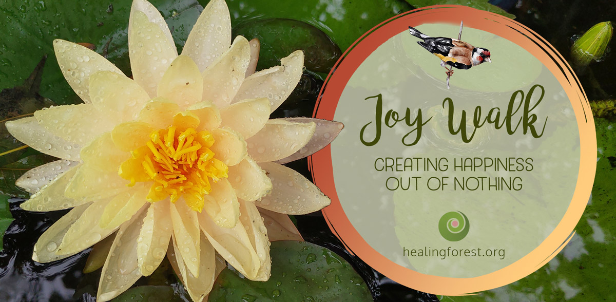 Joy Walk – Creating Happiness Out Of Nothing | Healing Forest