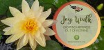 Joy Walk – Creating Happiness Out Of Nothing | Healing Forest