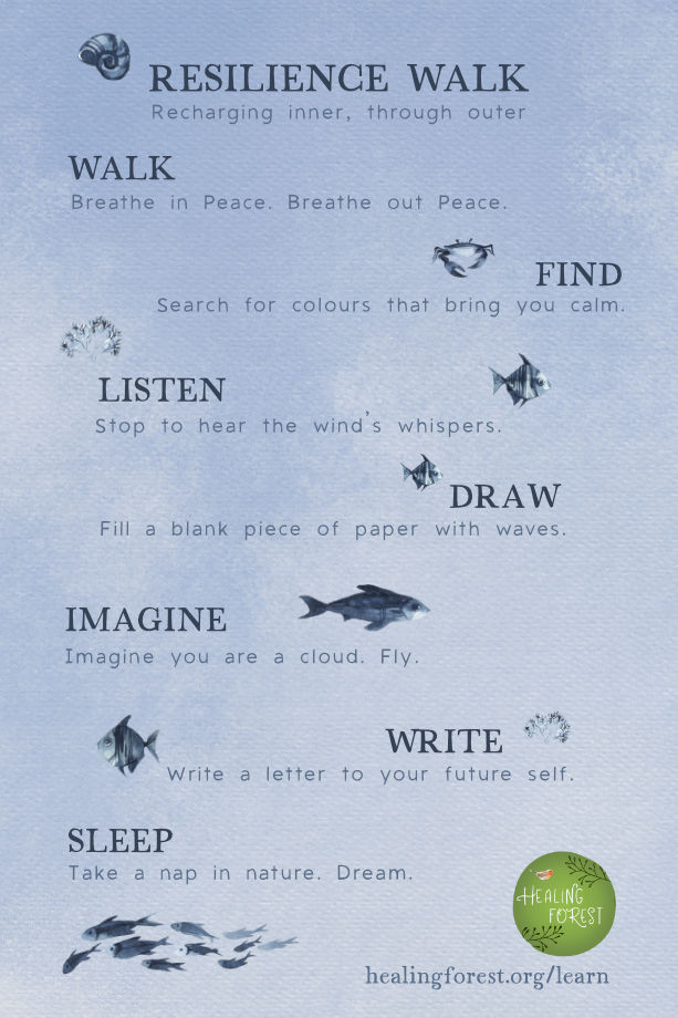 10 Nature Connection Activities | Healing Forest