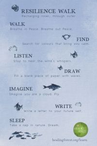 10 Nature Connection Activities | Healing Forest