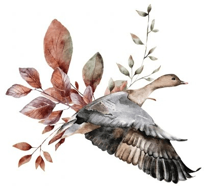 Healing Forest | Forest Walks, Nature Art, Mindfulness Activities ...