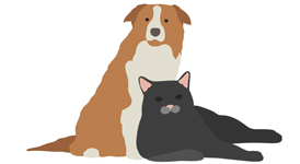 Curiosity Walk – How To Go On A Nature Date | Healing Forest