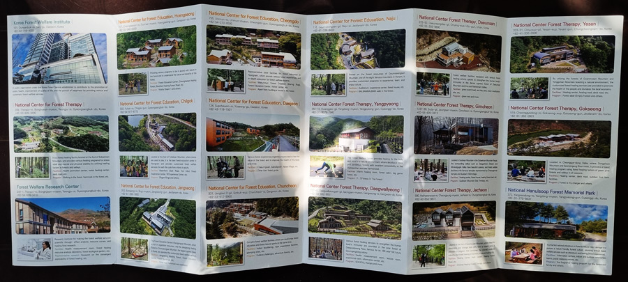 Forest Photo Essay from South Korea | Healing Forest