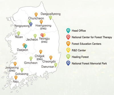 Forest Photo Essay from South Korea | Healing Forest