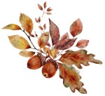 Healing Forest | Forest Walks, Nature Art, Mindfulness Activities ...