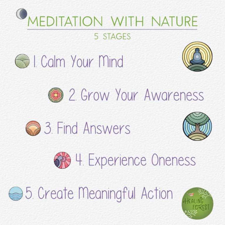 Meditation With Nature : 5 Paths For Beginners | Healing Forest