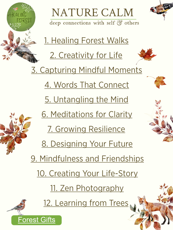 Nature Calm | Healing Forest