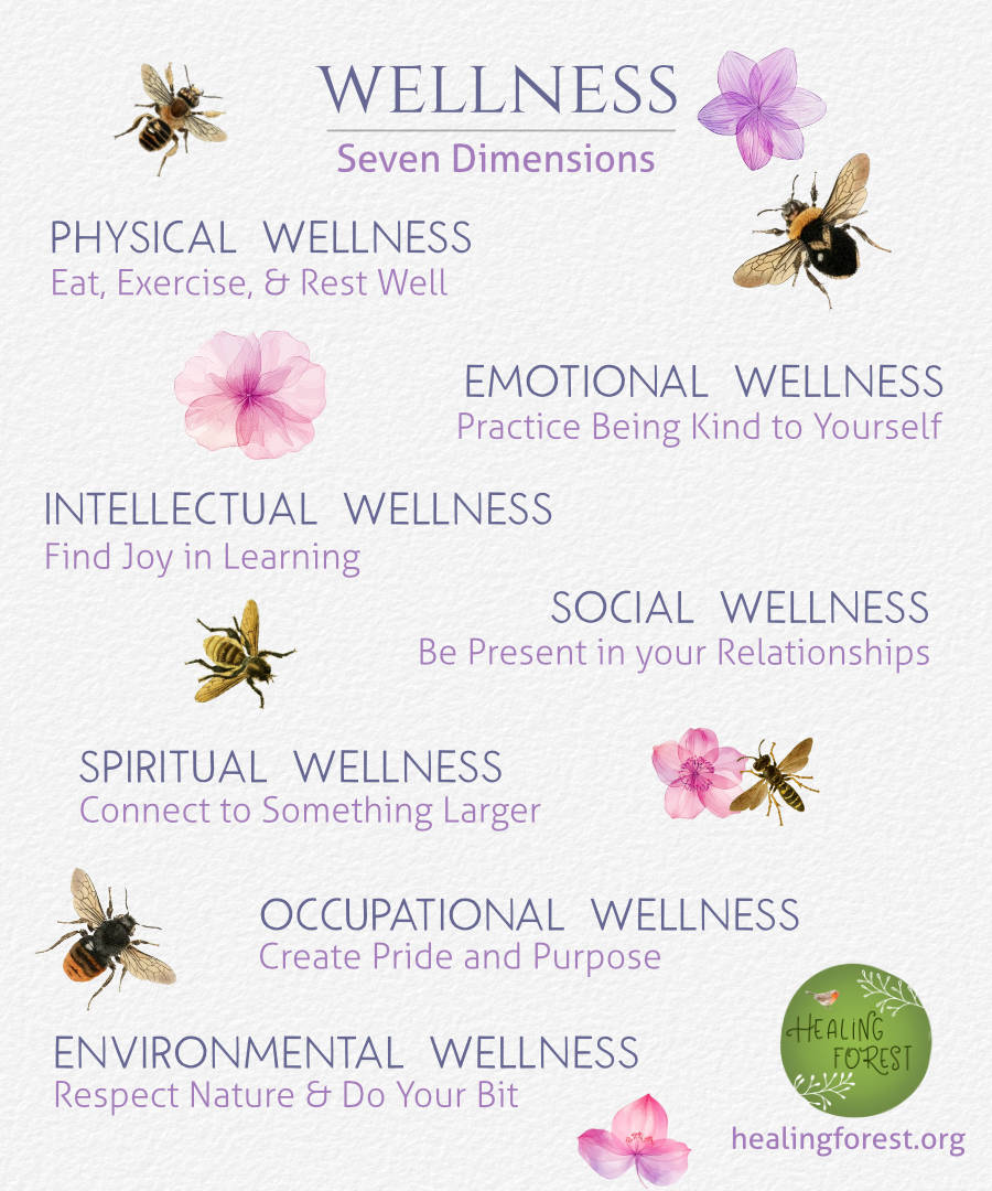 Healing Ways | Healing Forest | Forest Bathing & Nature Healing Secrets